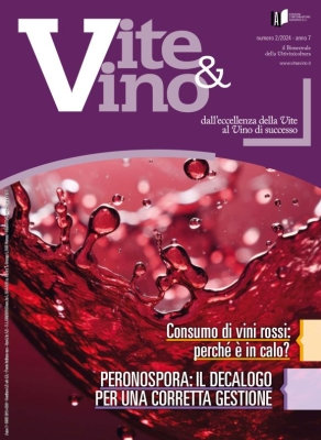 | Vite e Vino | 24vv02